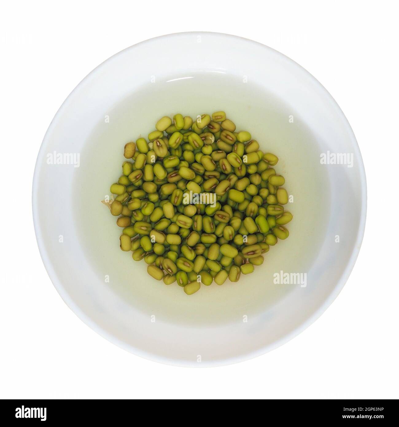 dried adzuki beans in a bowl with water isolated over white background ...