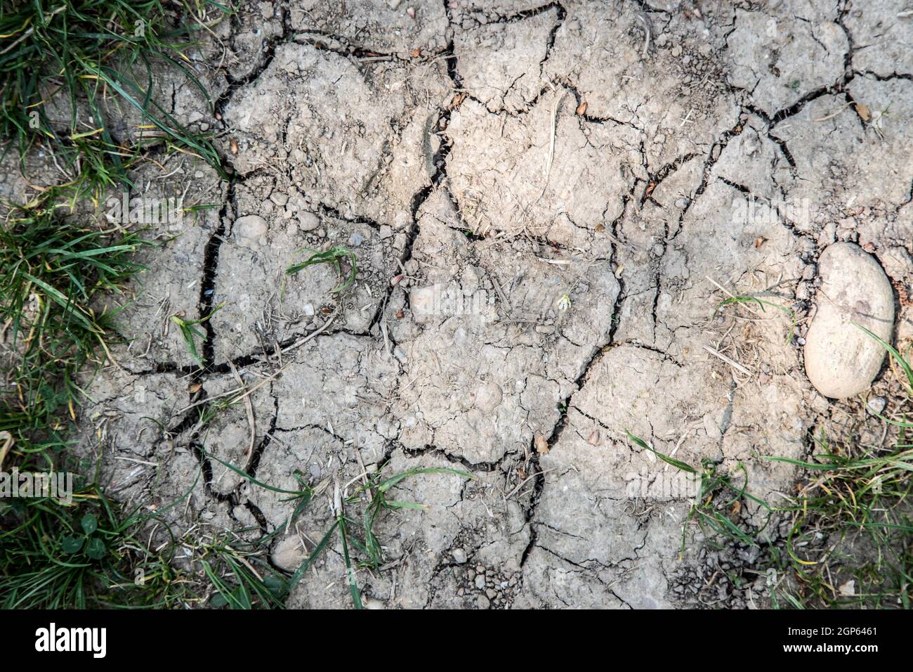 Dry soil on an agriculture field, drought Stock Photo - Alamy