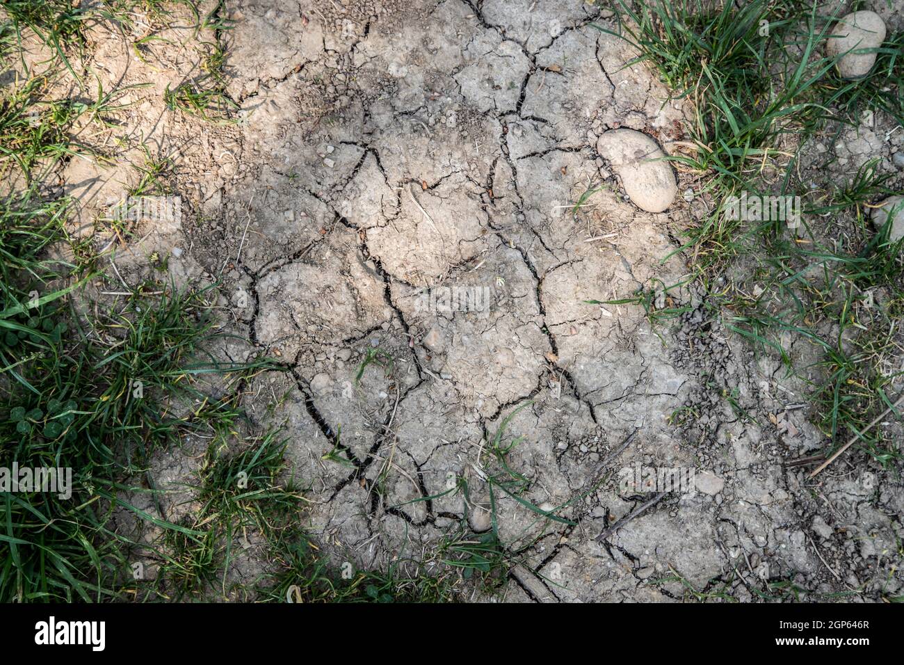 Dry soil on an agriculture field, drought Stock Photo - Alamy