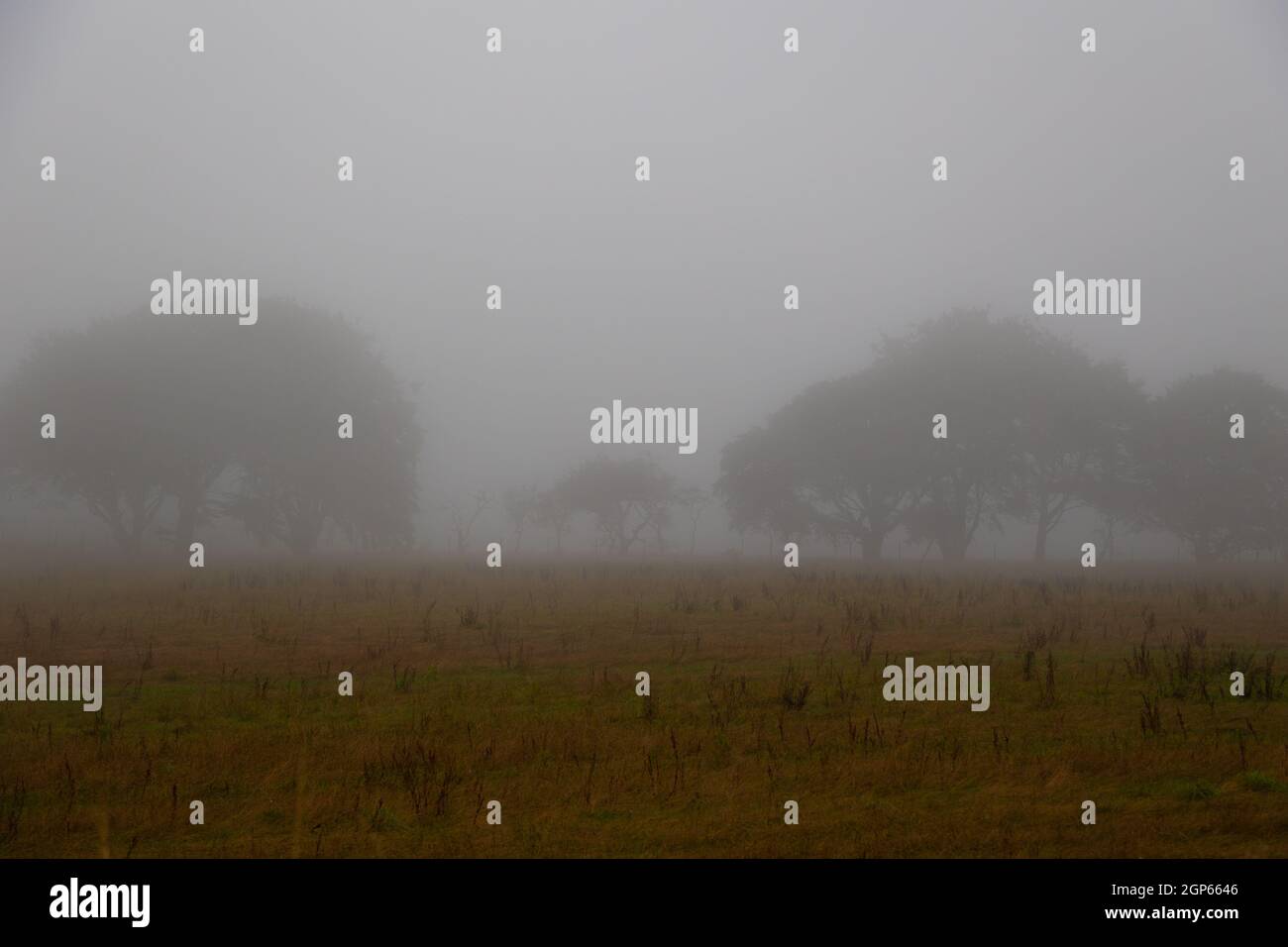 Fading into distance hi-res stock photography and images - Alamy