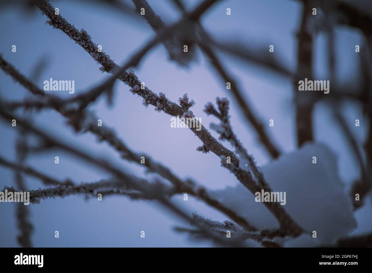 Icy Wind Turbine High Resolution Stock Photography and Images - Alamy