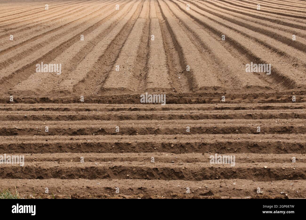 Furrows in field texture hi-res stock photography and images - Alamy
