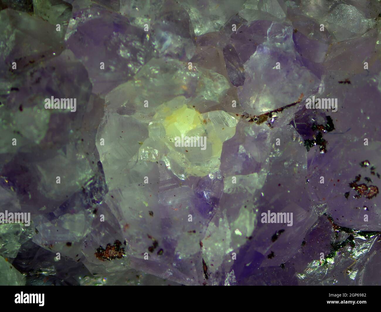 Amethyst gemstone in a macro Stock Photo - Alamy
