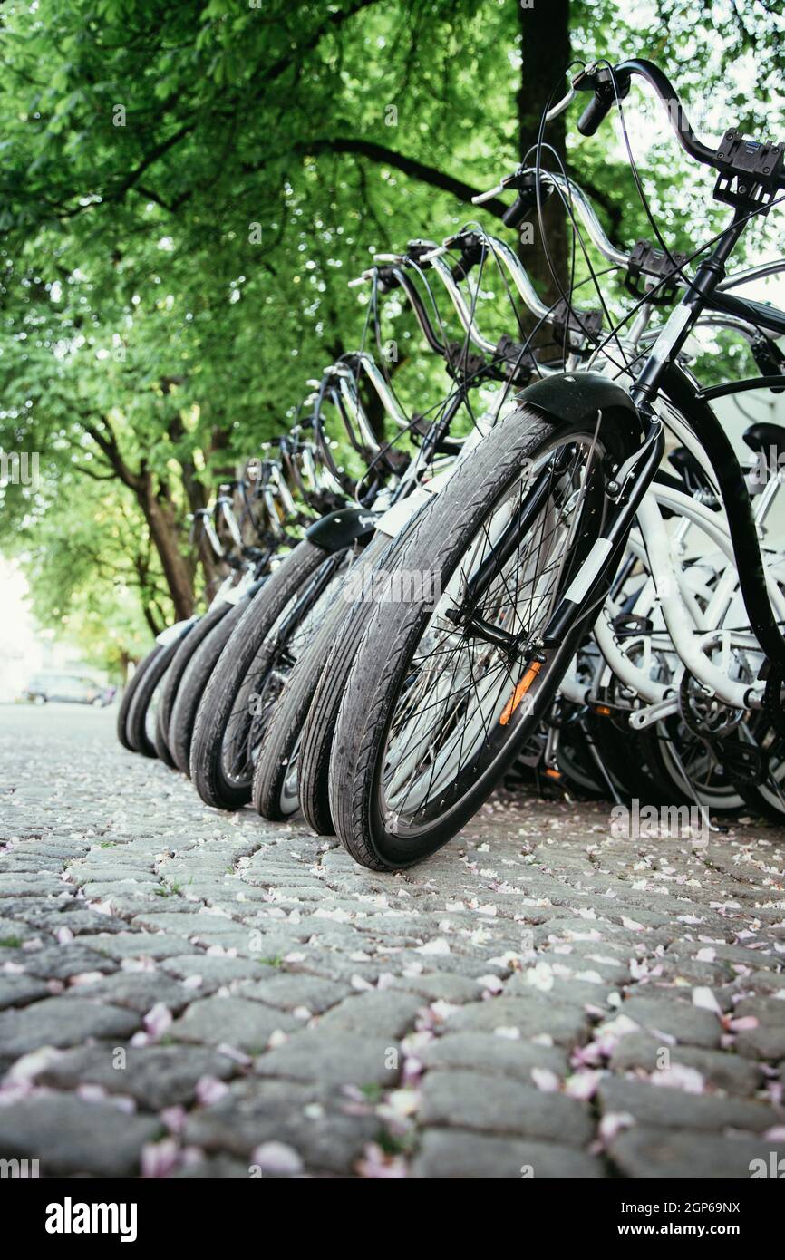 Parking bikes for rental in the city, tourism Stock Photo - Alamy