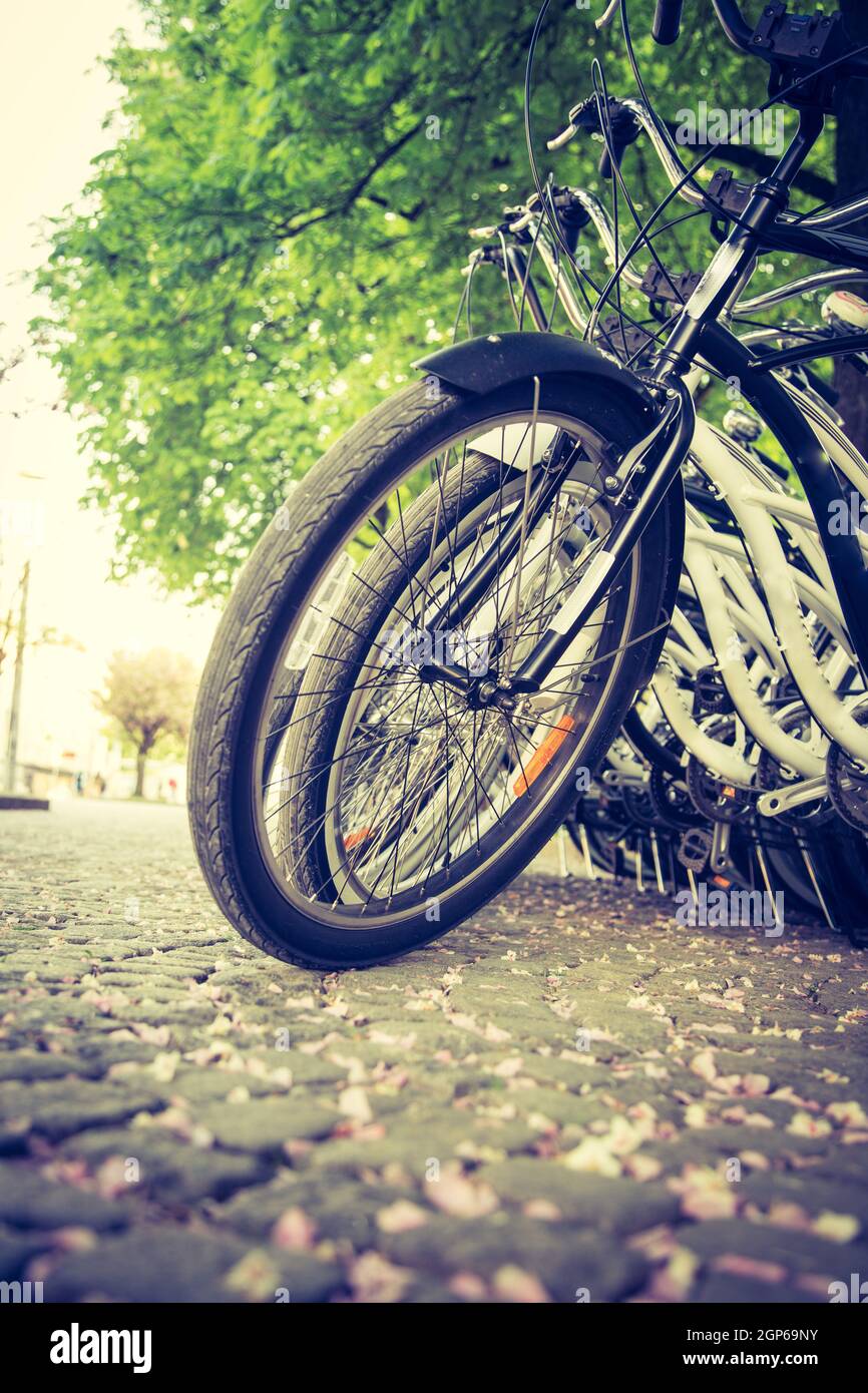 Parking bikes for rental in the city, tourism Stock Photo - Alamy