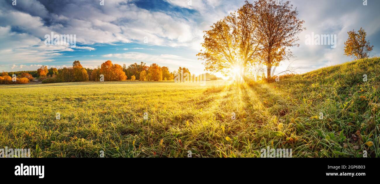 Panoramic view of the autumnal field on the sunny morning Stock Photo ...