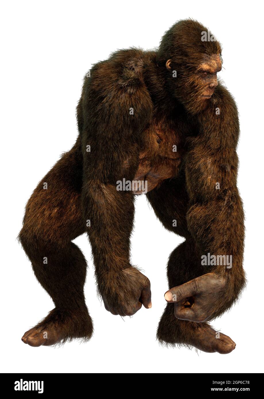 3D rendering of a Sasquatch or Bigfoot isolated on white background ...