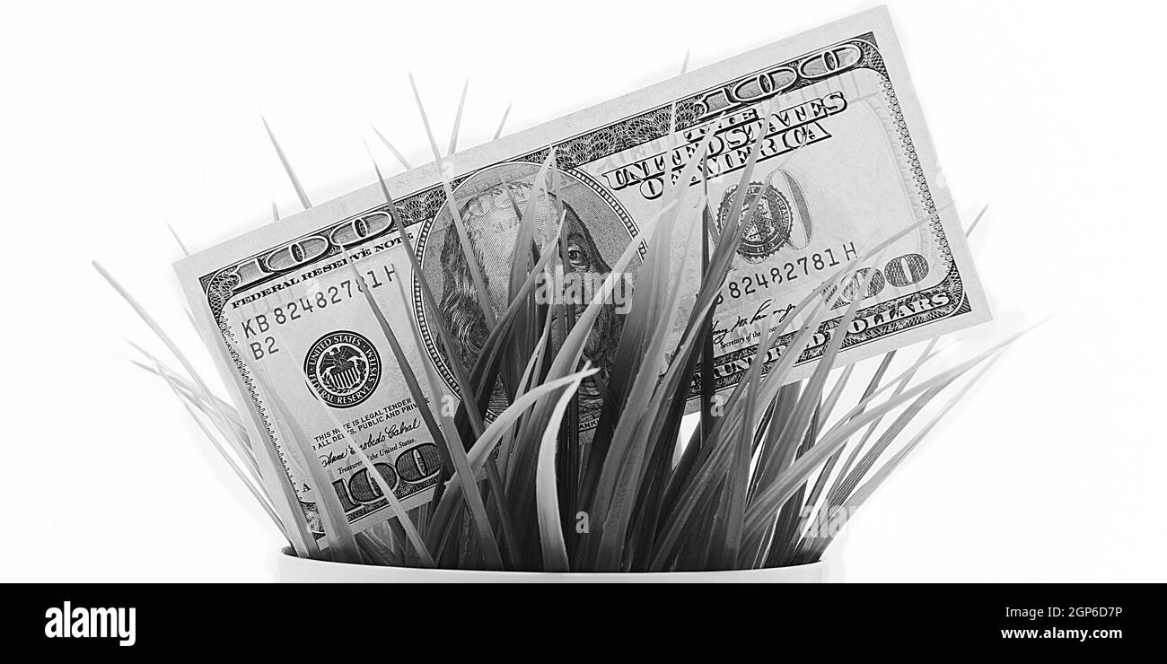 Grass banking Black and White Stock Photos & Images - Alamy