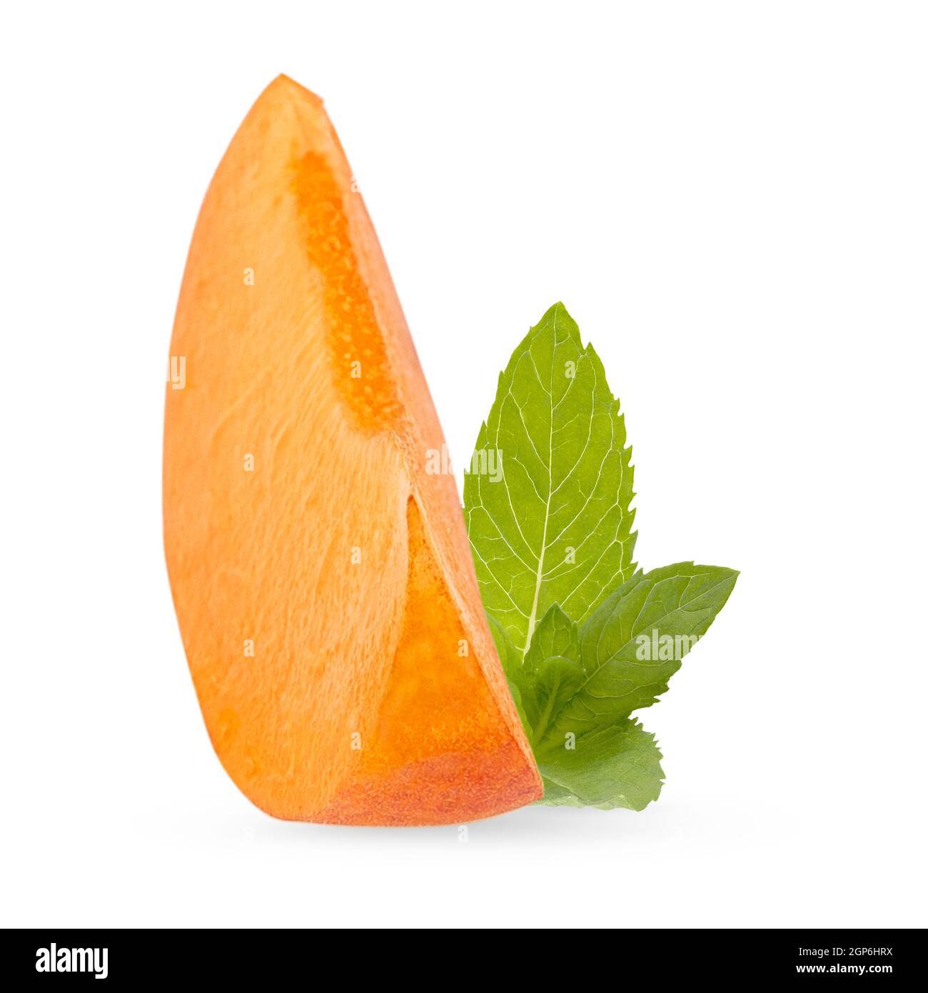 Isolated fruit. One apricot slice with a sprig of fresh mint on white ...