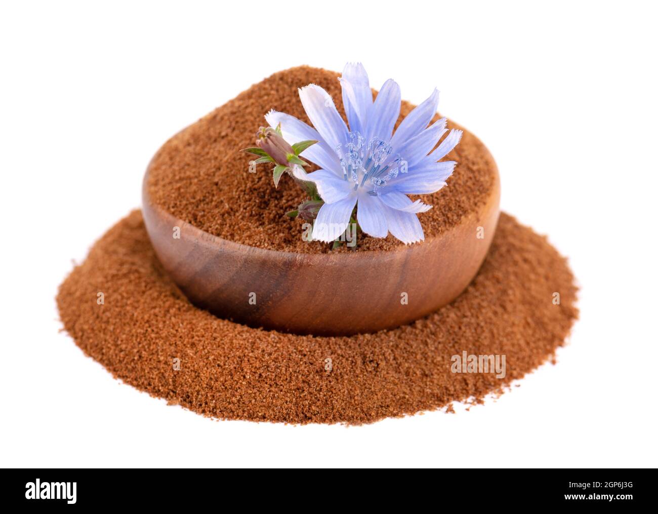 Chicory powder and flower in wooden bowl, isolated on white background ...