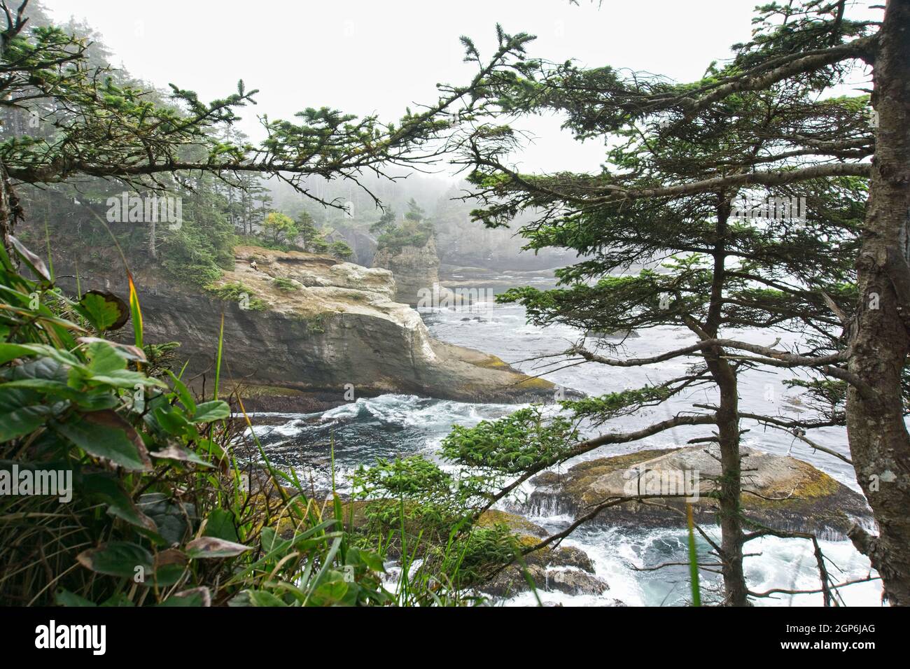 Cape Flattery Rugged Coast - The rugged Cape Flattery coastline with ...