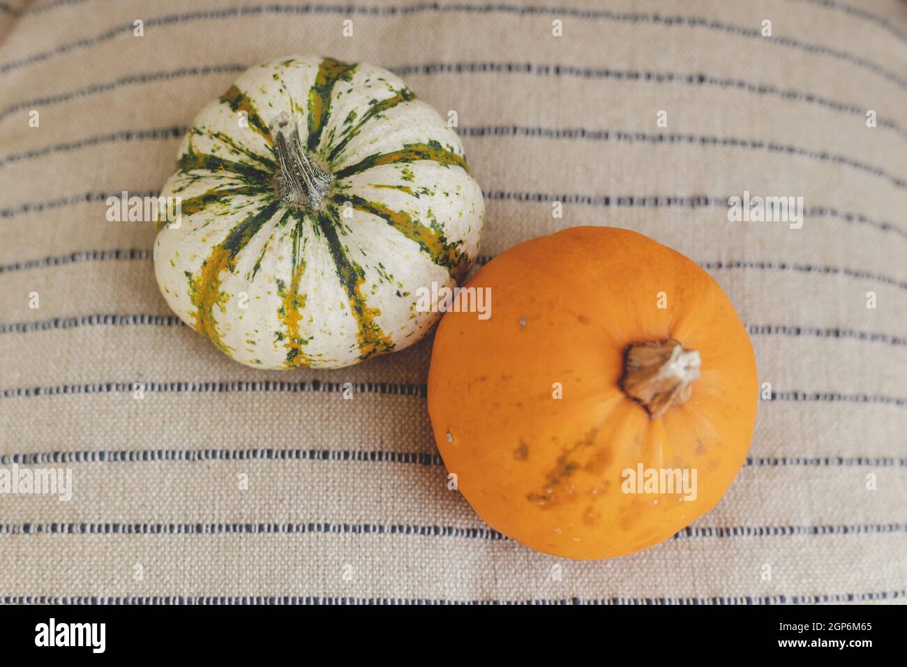 Cozy autumn. Stylish striped and orange pumpkins on modern rustic ...