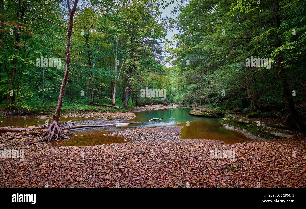 War Fork Creek located near Turkey Foot Campground in Jackson County ...