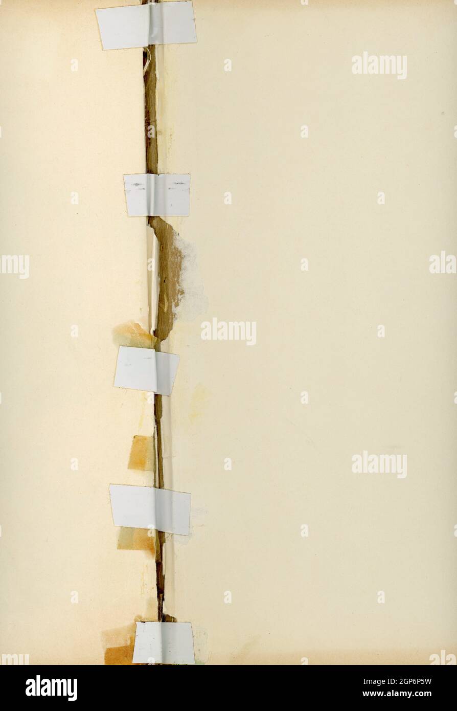 blank torn book page useful as a background Stock Photo - Alamy