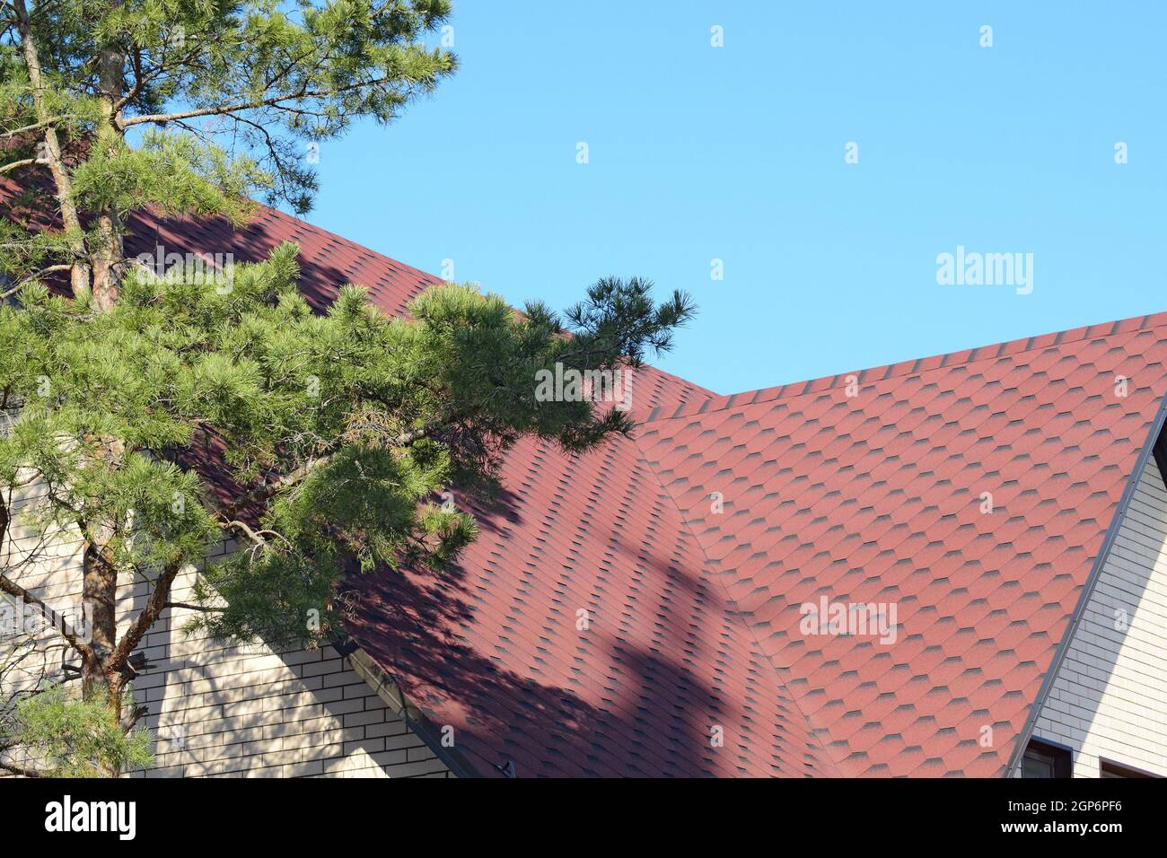 Decorative metal tile on a roof. Types of a roof of roofs. Near conifer ...