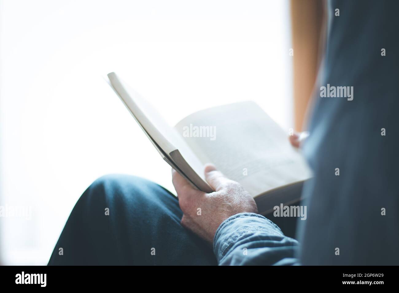 Cut out picture of a senior man who is reading a book at home Stock ...