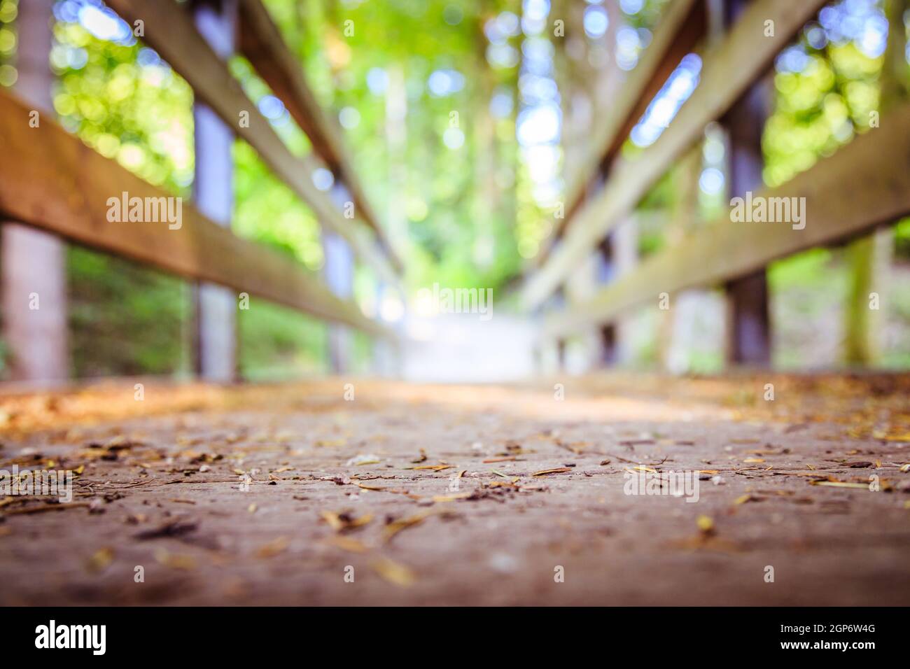 Wooden bridge in the forest, blurry background Stock Photo - Alamy