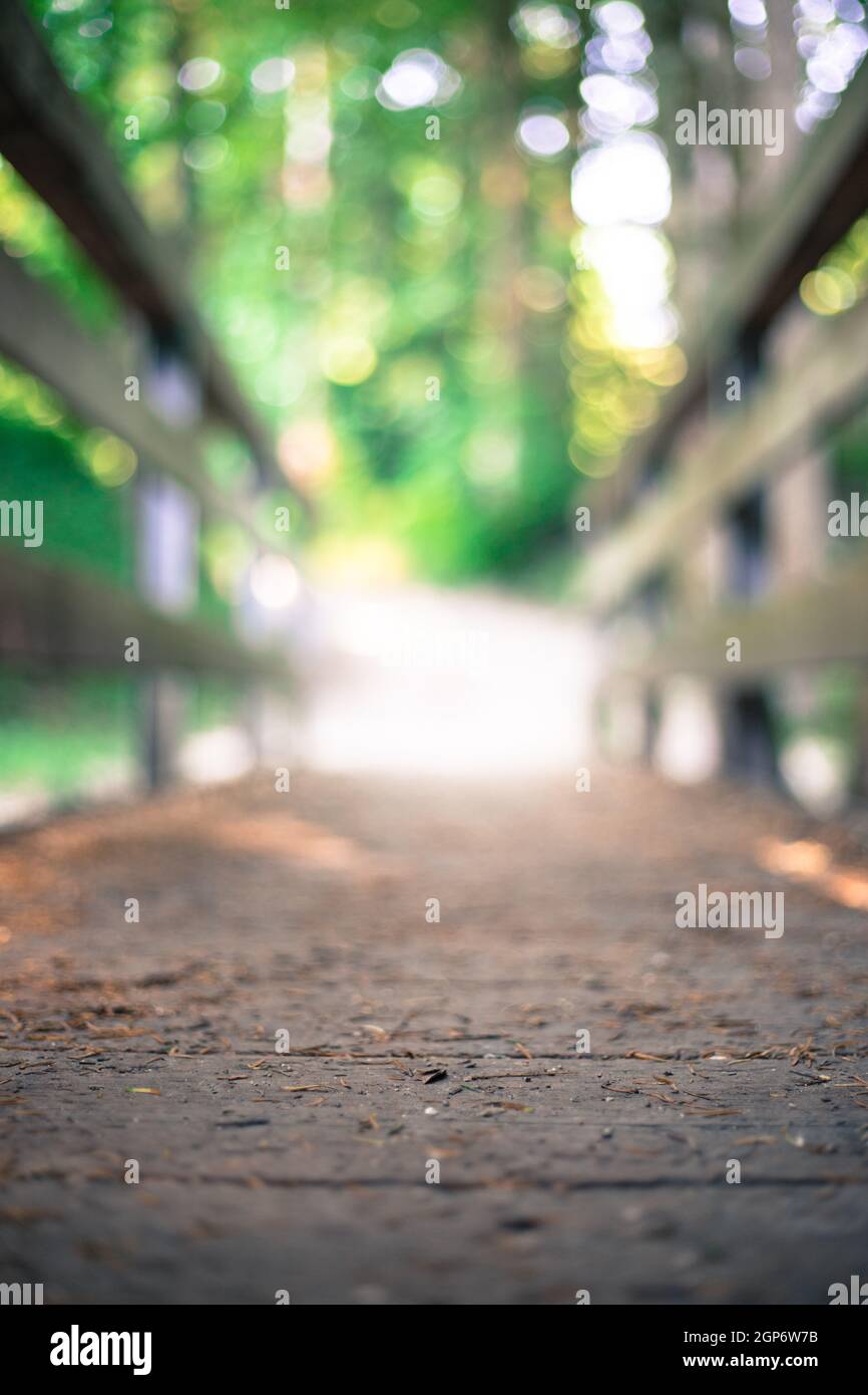 Wooden bridge in the forest, blurry background Stock Photo - Alamy
