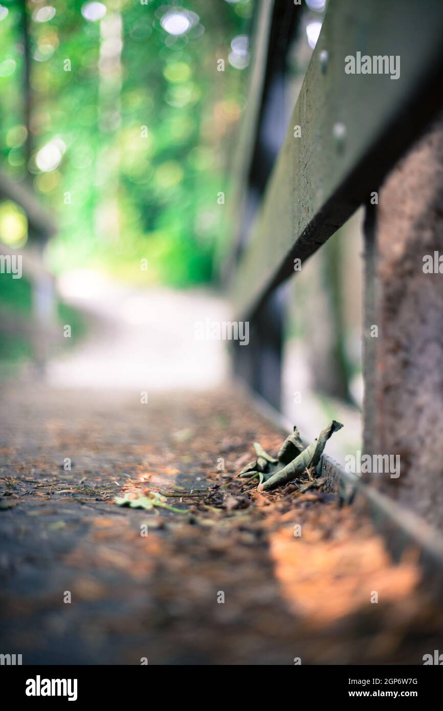 Wooden bridge in the forest, blurry background Stock Photo - Alamy