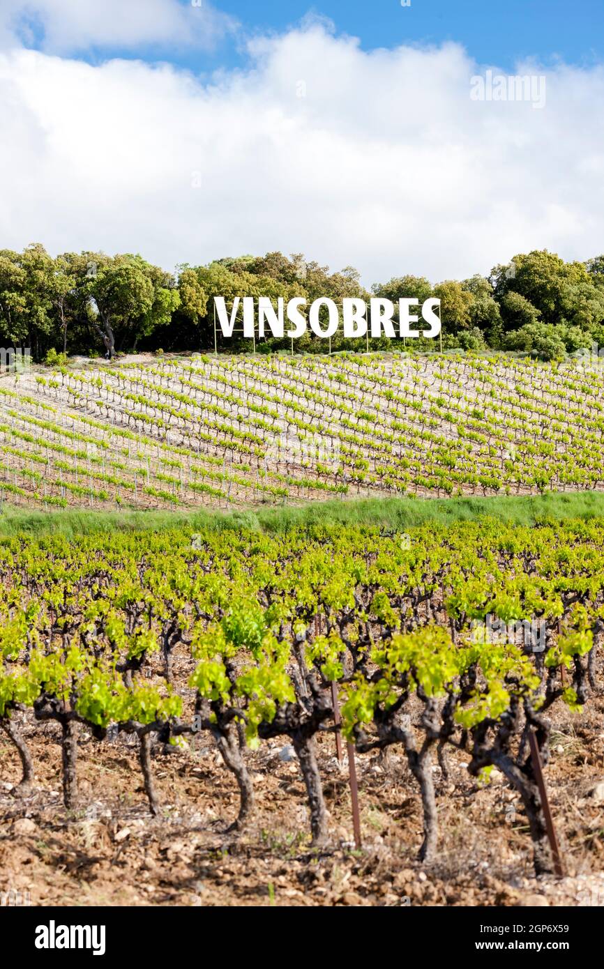 vineyards near Vinsobres, Provence, France Stock Photo - Alamy