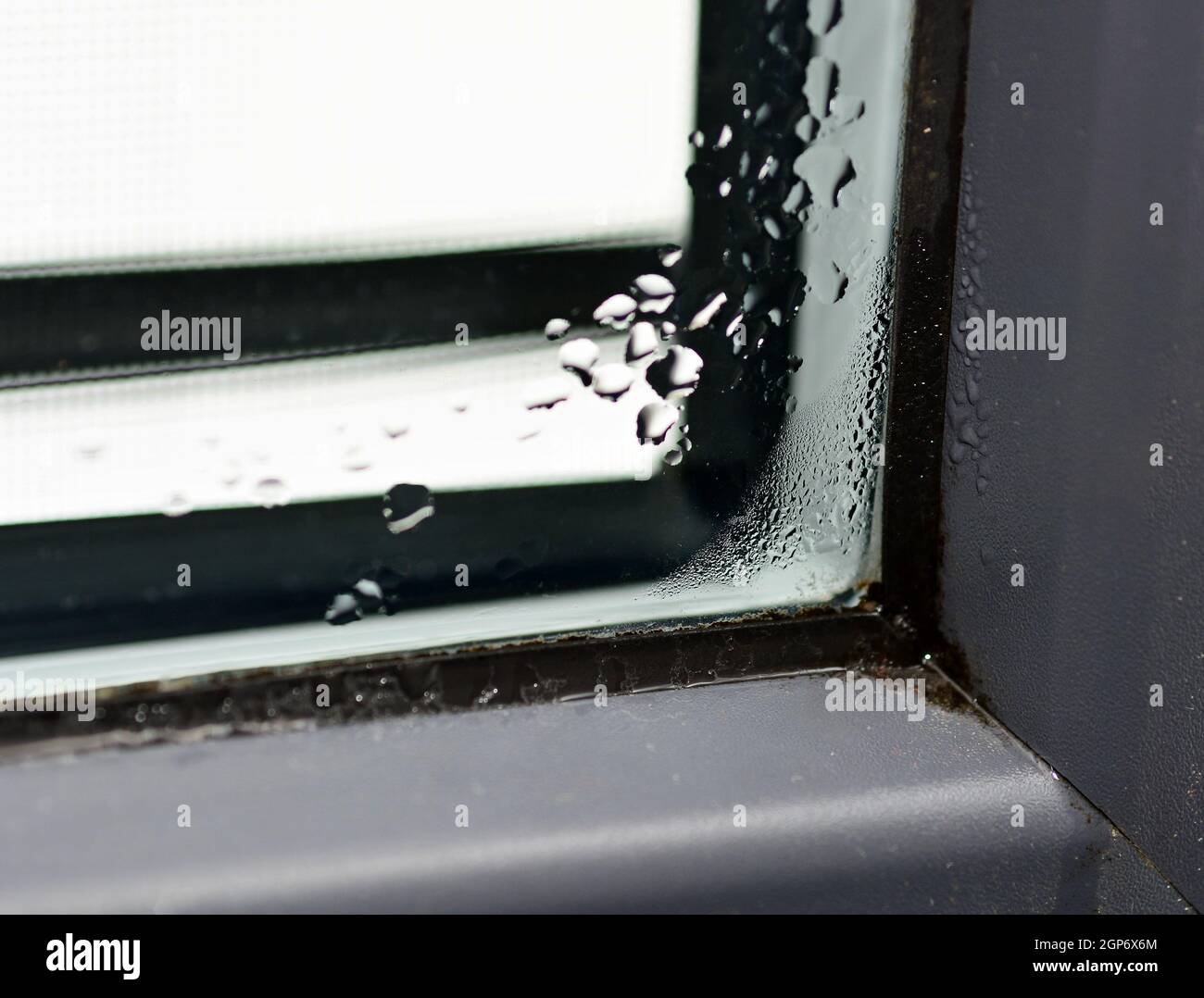 Closeup of the winter condensation on the inside of a window ...