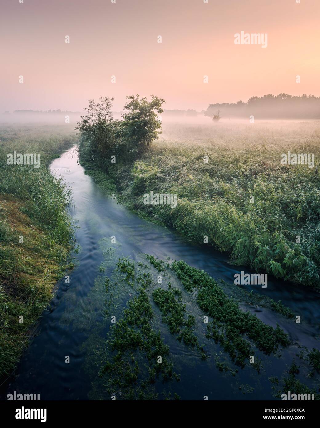 Floodplain wetland hi-res stock photography and images - Alamy