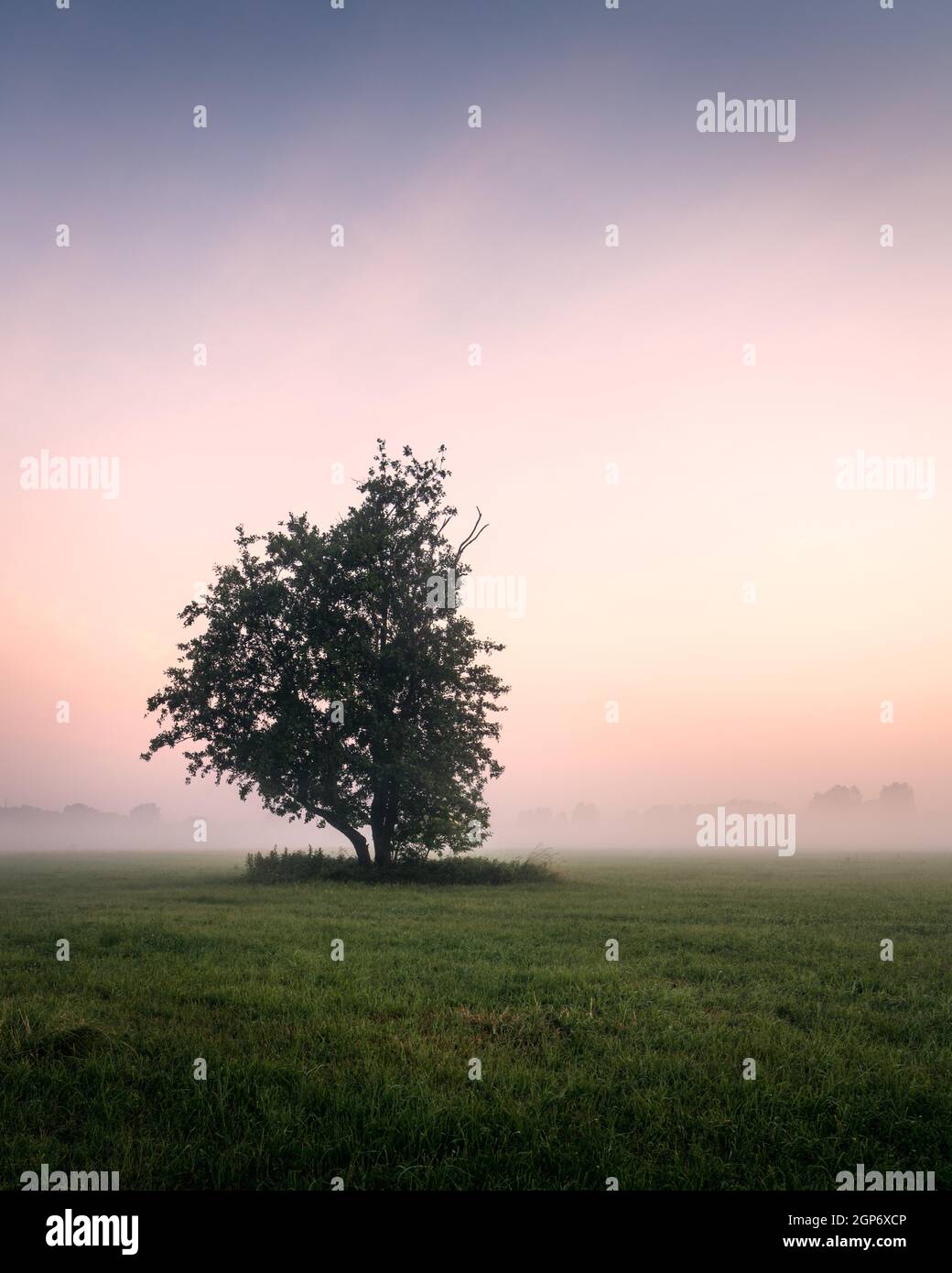 Wetland landscape hi-res stock photography and images - Alamy