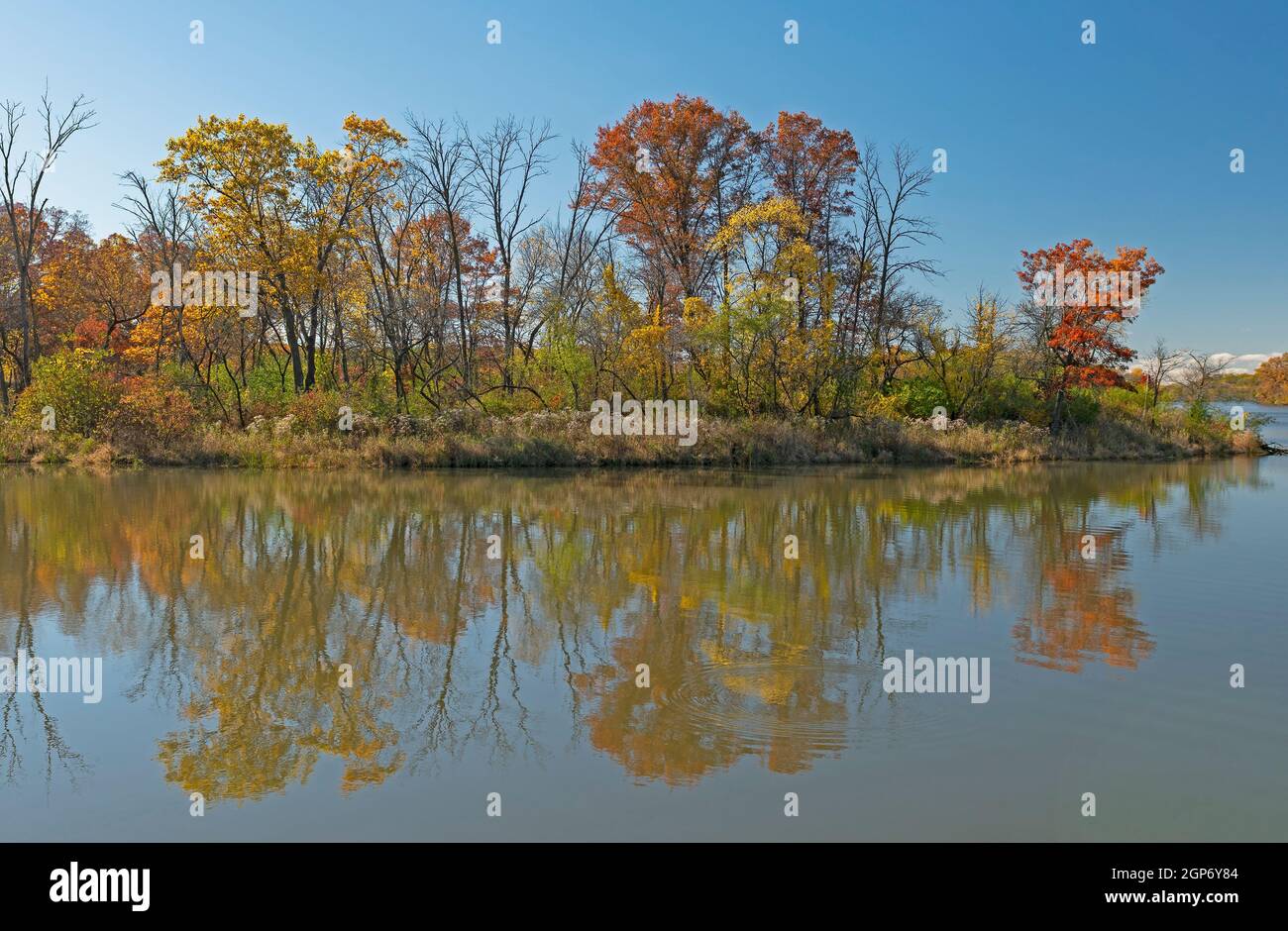 Forest Reflections in the Autumn Light on Busse Lake in the Ned Brown ...