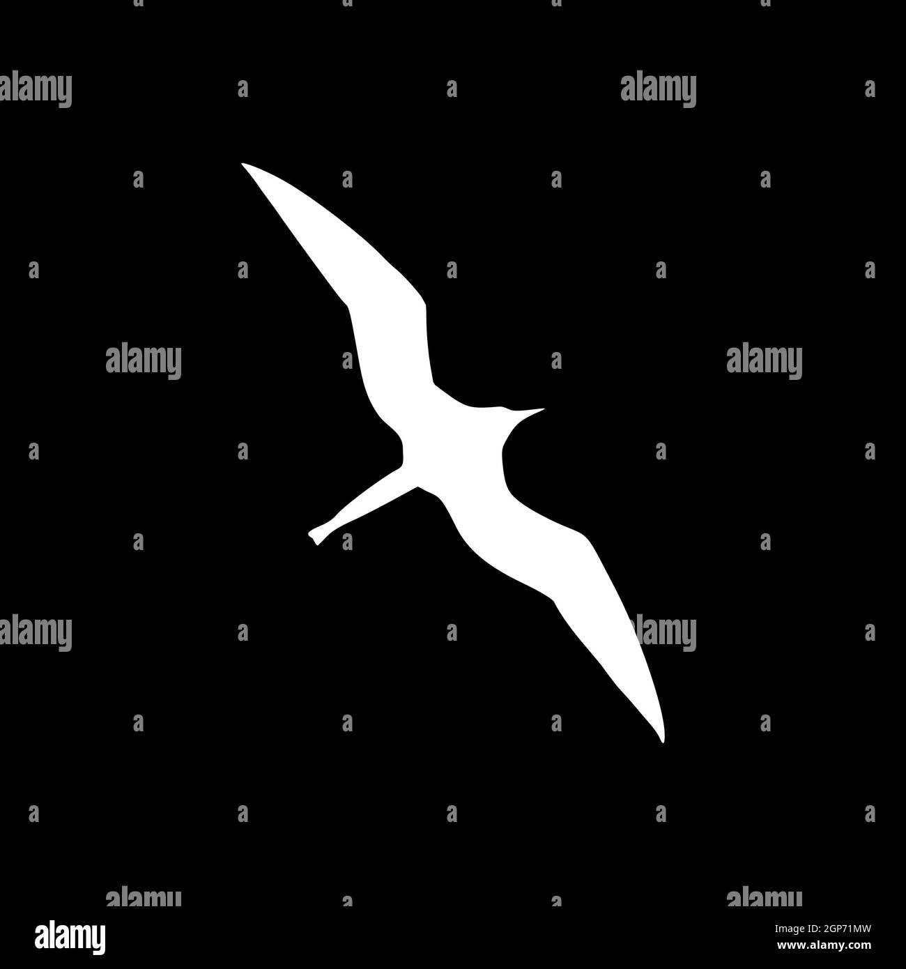 Frigate bird and background Stock Photo - Alamy