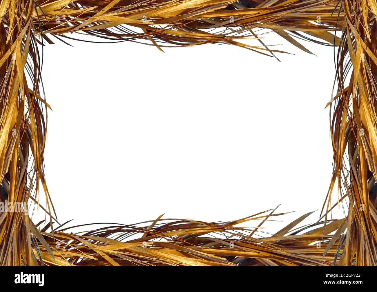 White frame background with decorated leaflet design borders Stock ...