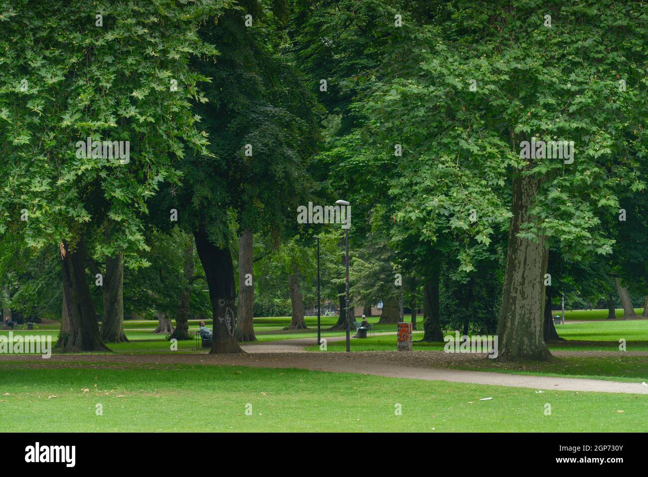Cologne germany city landscape hi-res stock photography and images - Alamy