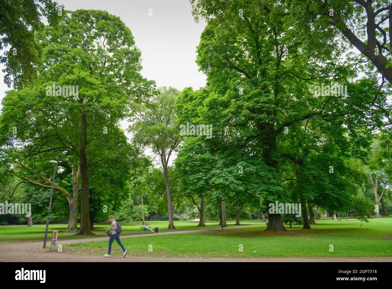Stadtgarten, Cologne, North Rhine-Westphalia, Germany Stock Photo - Alamy