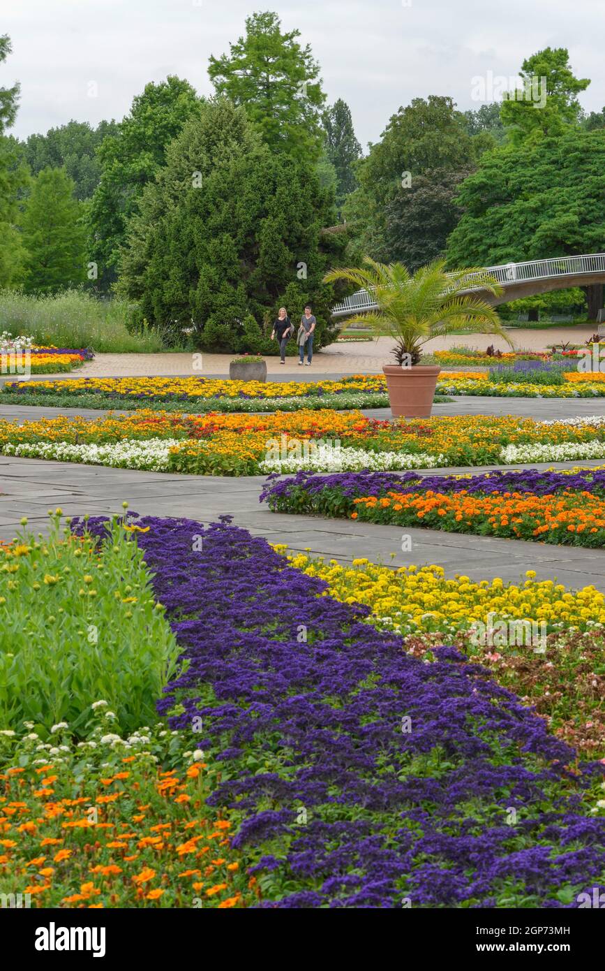 Rheinpark, Cologne, North Rhine-Westphalia, Germany Stock Photo - Alamy