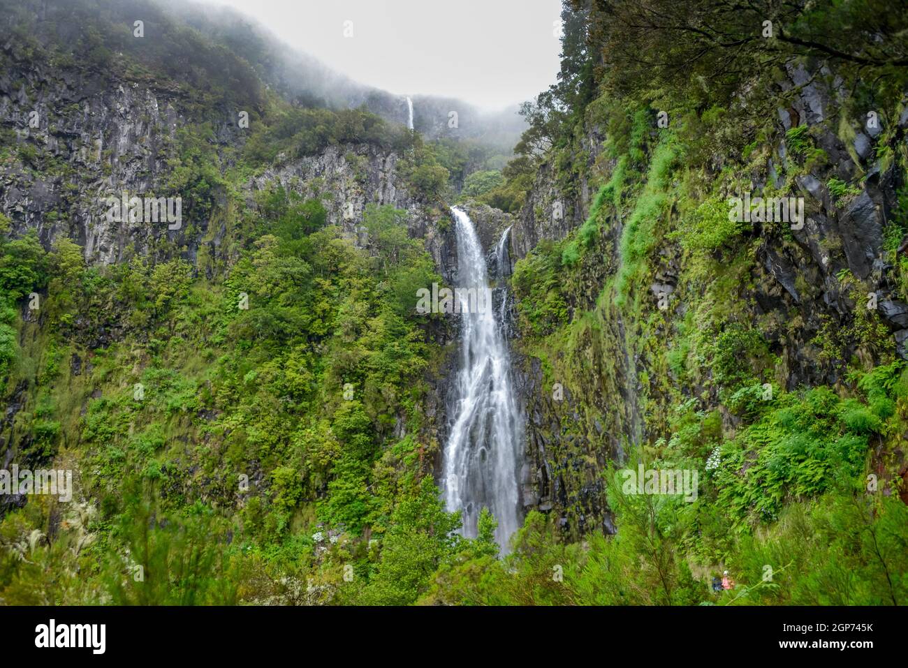 Risco Waterfall, Rabacal Valley, Central Mountains, Madeira, Portugal ...