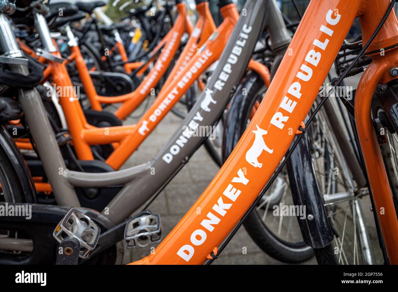 Donkey Republic bikes nearby Rotterdam Blaak station Stock Photo - Alamy