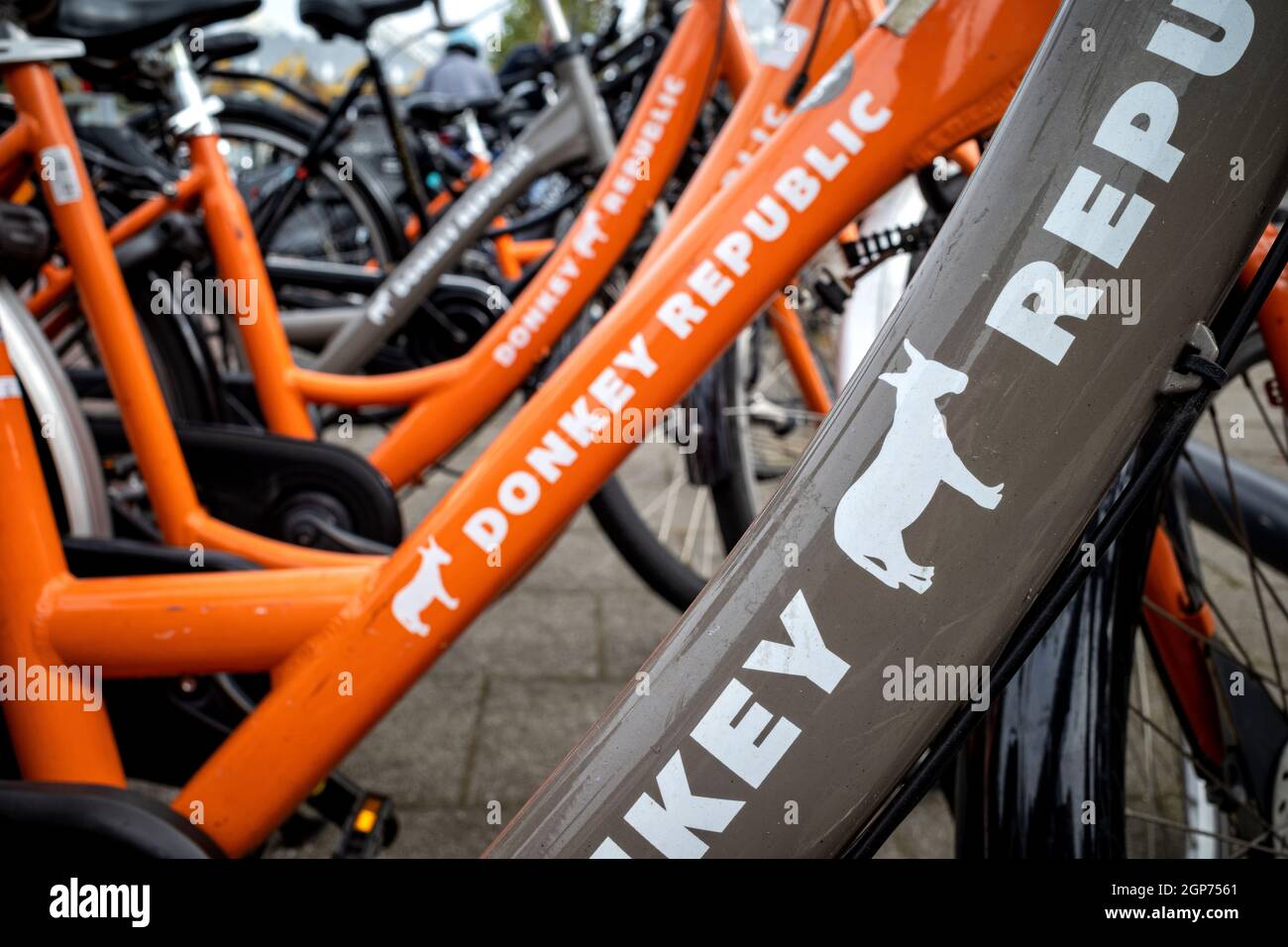 Donkey cycles hi-res stock photography and images - Alamy