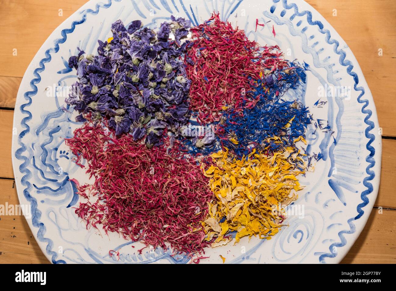 Useful birds hi-res stock photography and images - Alamy