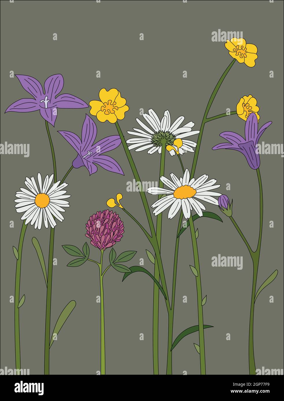 Wild flower meadow] Stock Vector Images - Alamy