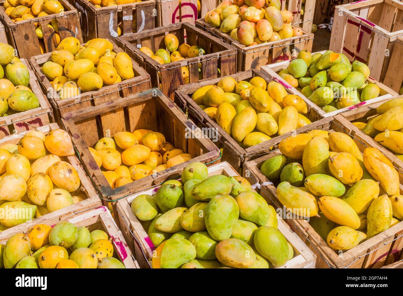 Boxes o mango at Manning Market in Colombo, Sri Lanka Stock Photo - Alamy