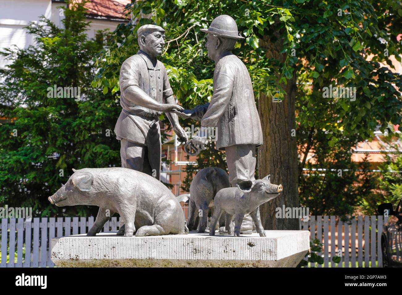 Pig like hi-res stock photography and images - Alamy