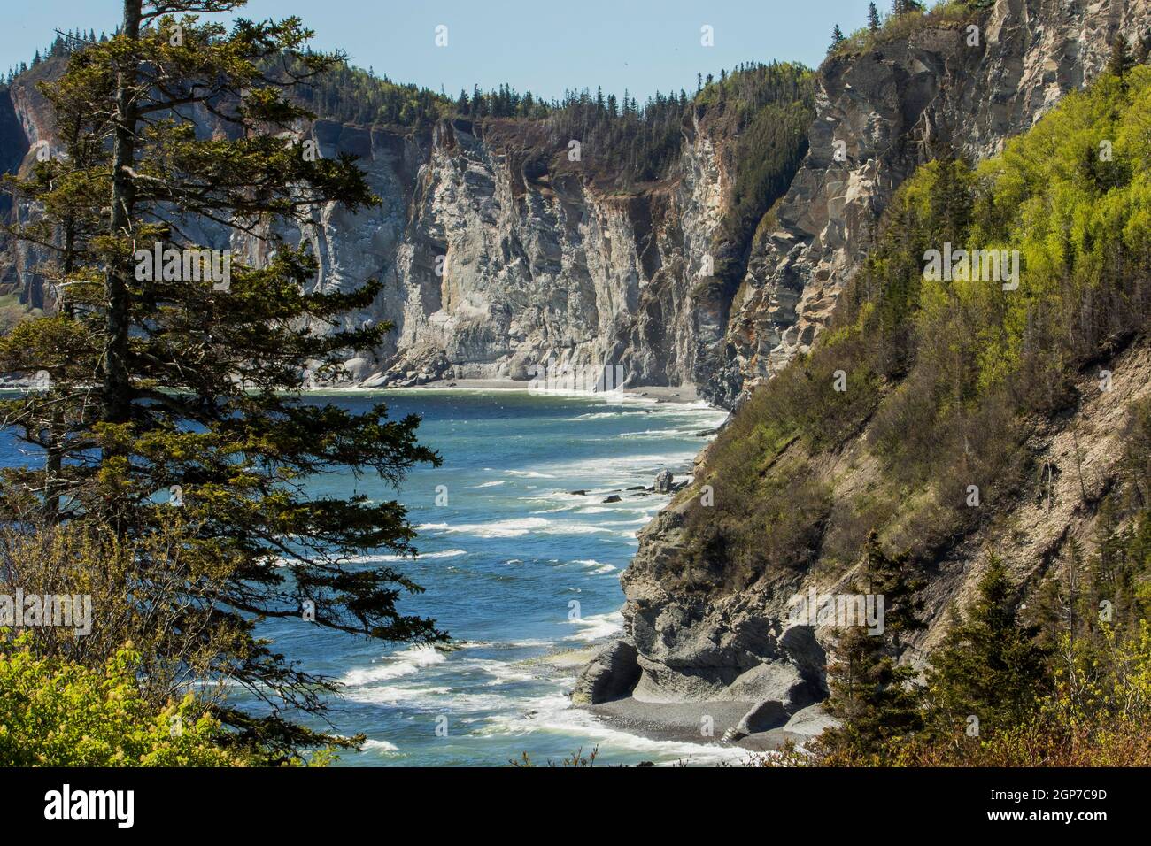 The coast in Forillon National Park, Quebec, Canada Stock Photo - Alamy
