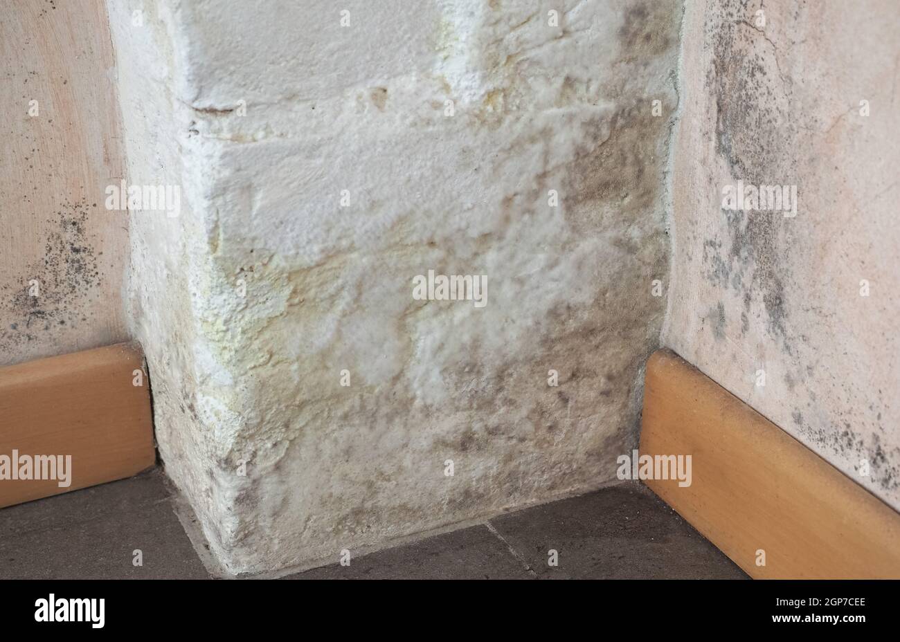 damage caused by dampness and moisture on a wall Stock Photo - Alamy