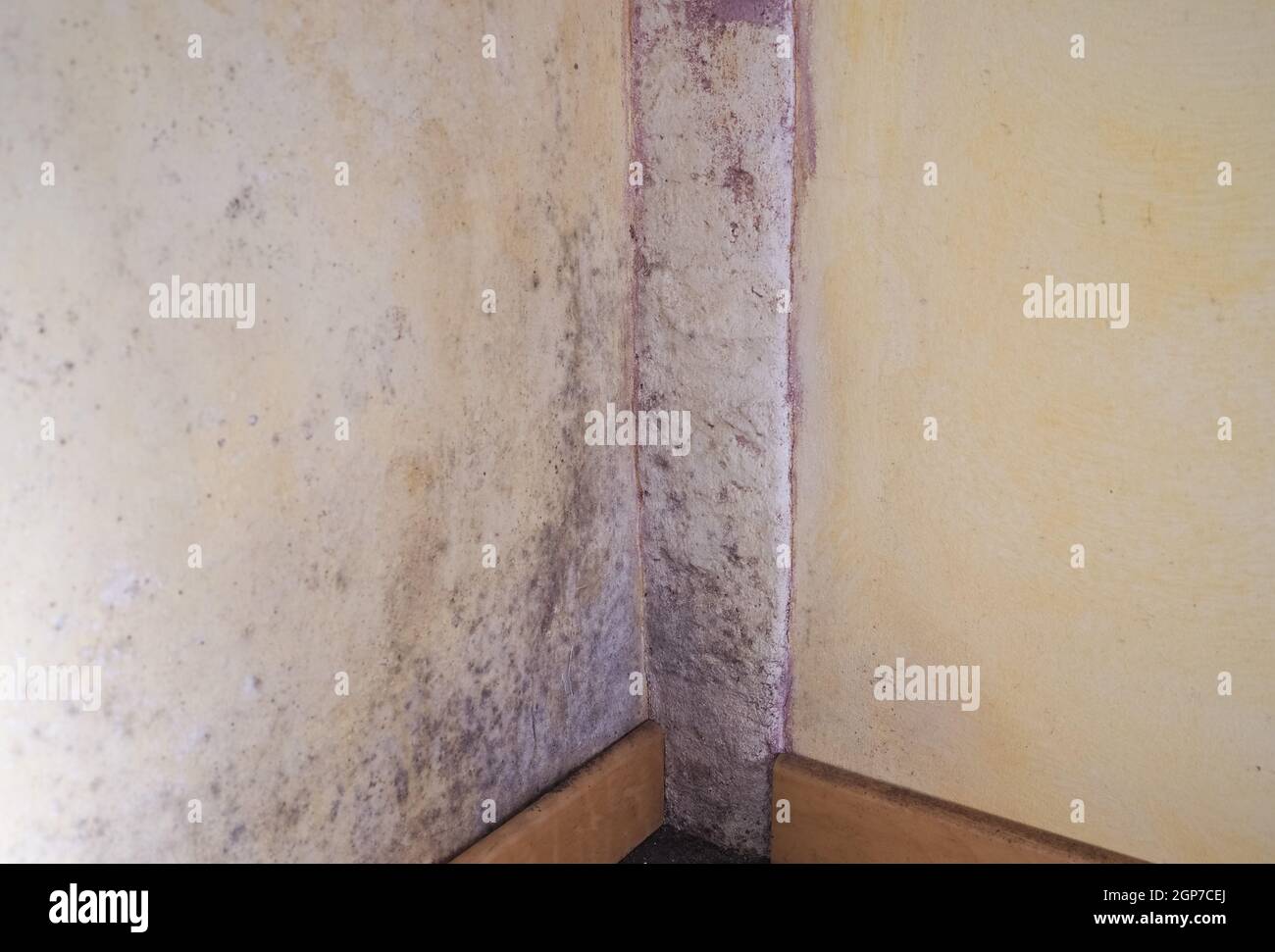 damage caused by dampness and moisture on a wall Stock Photo - Alamy