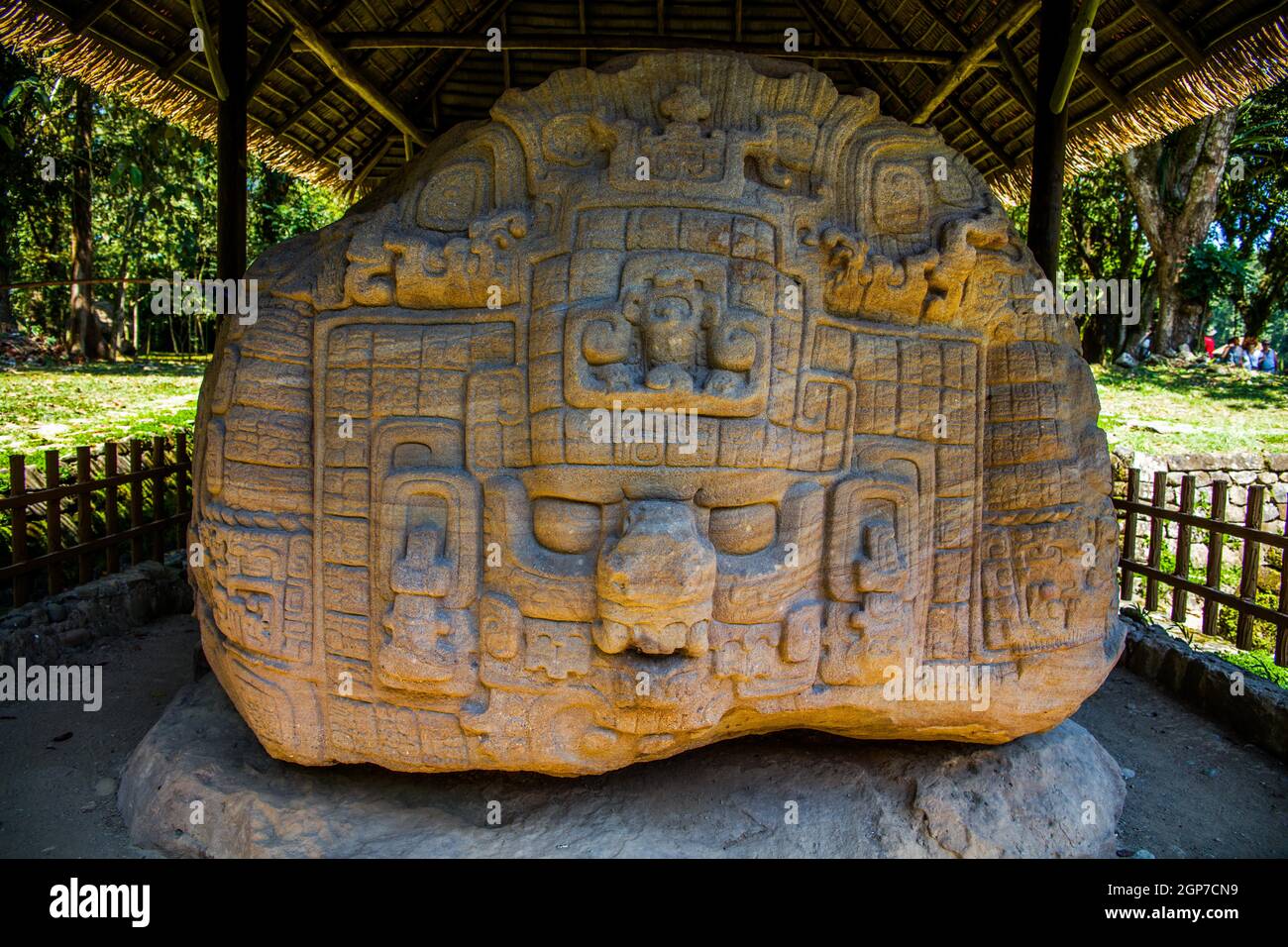 Monolithic altar, Zoomorph P, 795, pre-Columbian Maya city, Quirigua ...