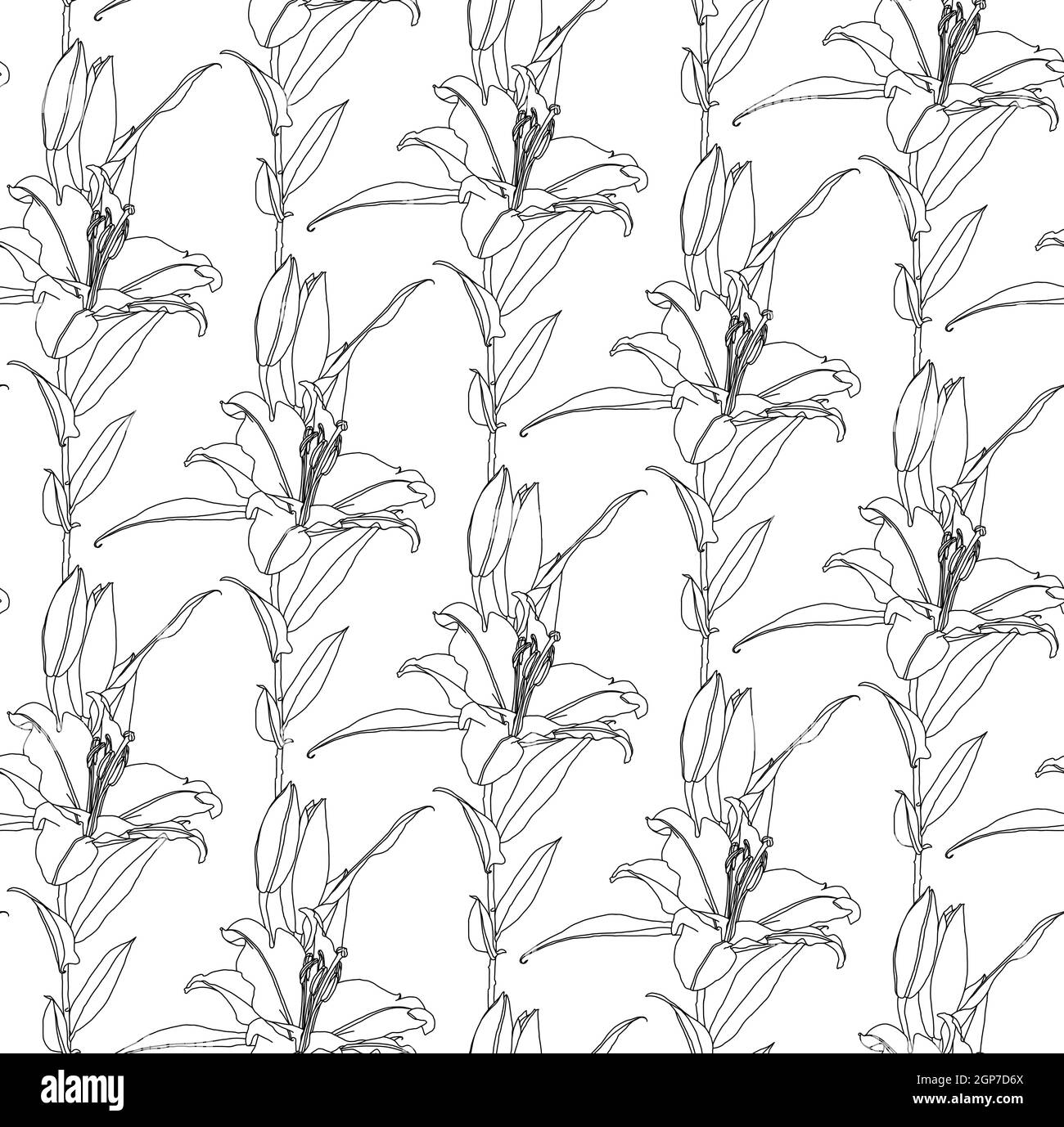 Lily flowers on white Stock Vector Images - Alamy