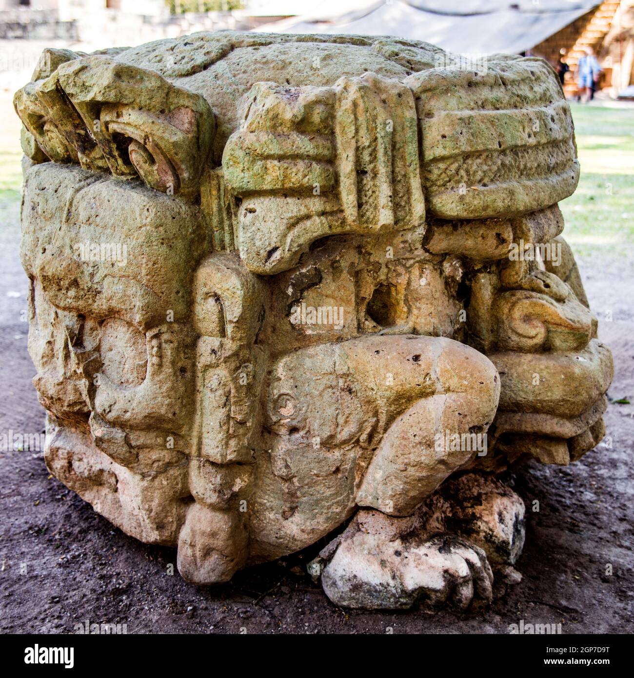 Zoomorphic altar to Stele N, Throne of Smoke Shell, Mayan site, Copan ...