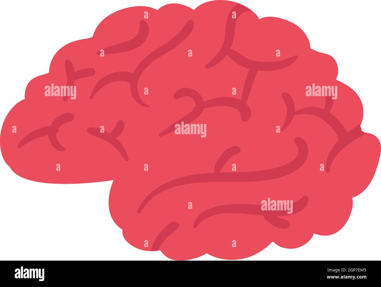 pink brain on white background Stock Vector Image & Art - Alamy