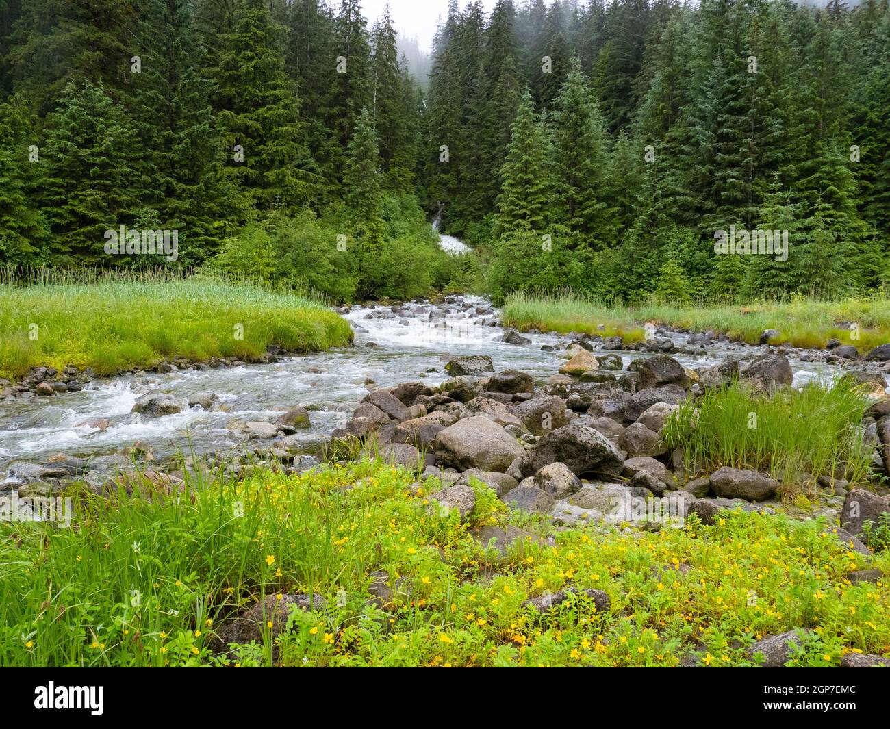 Ford's Terror, Tongass National Forest, Alaska Stock Photo - Alamy