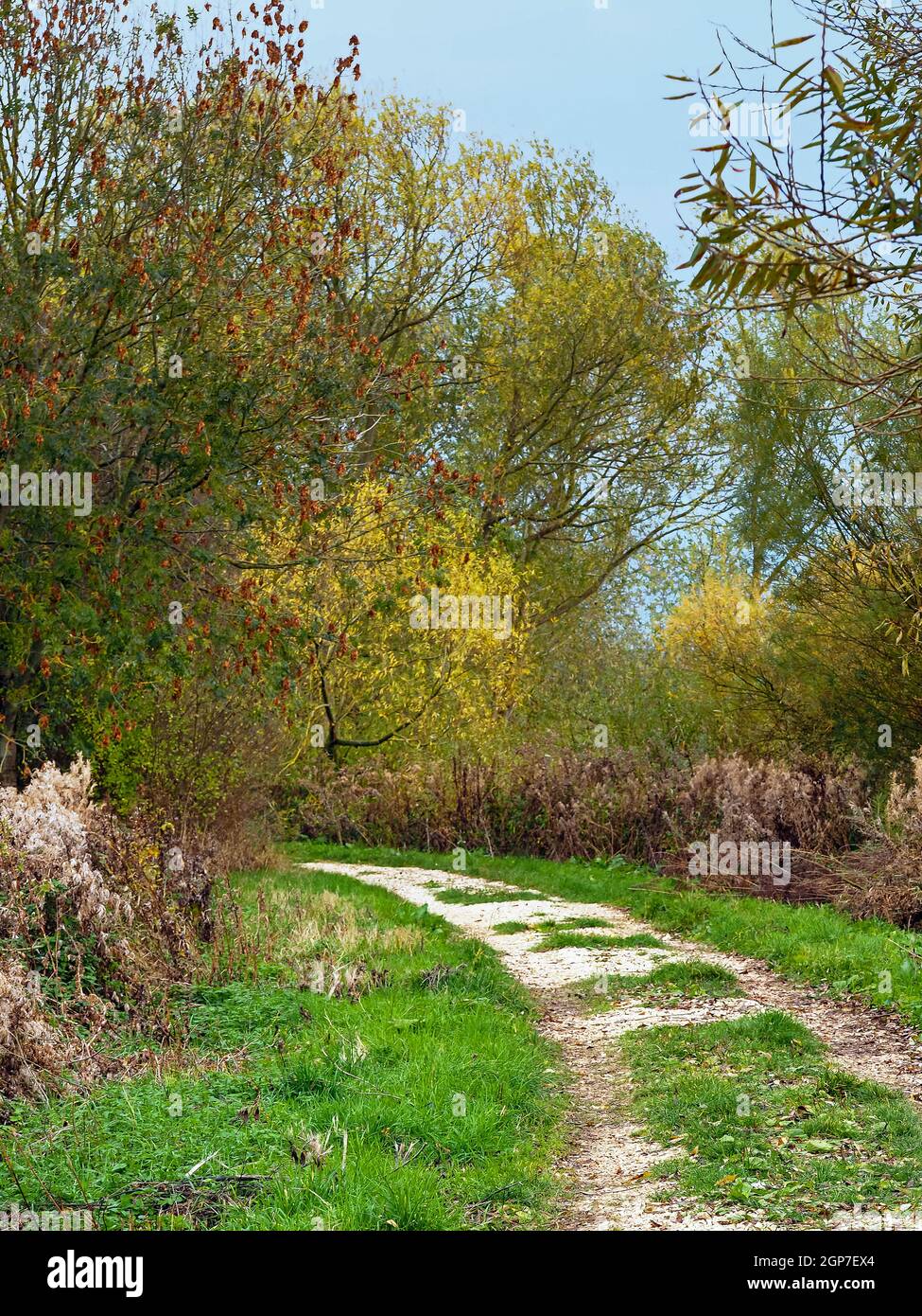 Path through Wheldrake Ings Nature Reserve, North Yorkshire, England ...