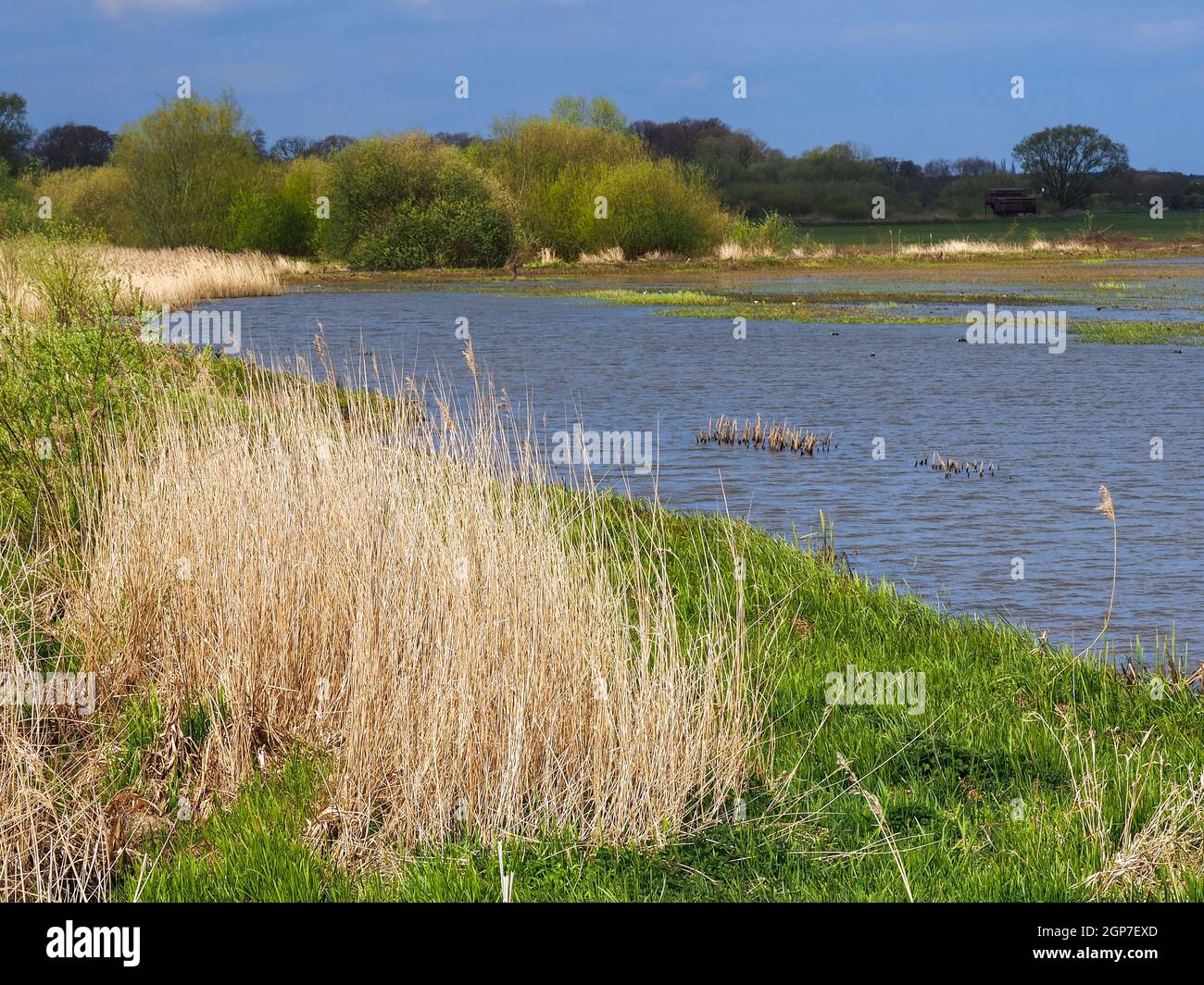 Wheldrake ings hi-res stock photography and images - Alamy